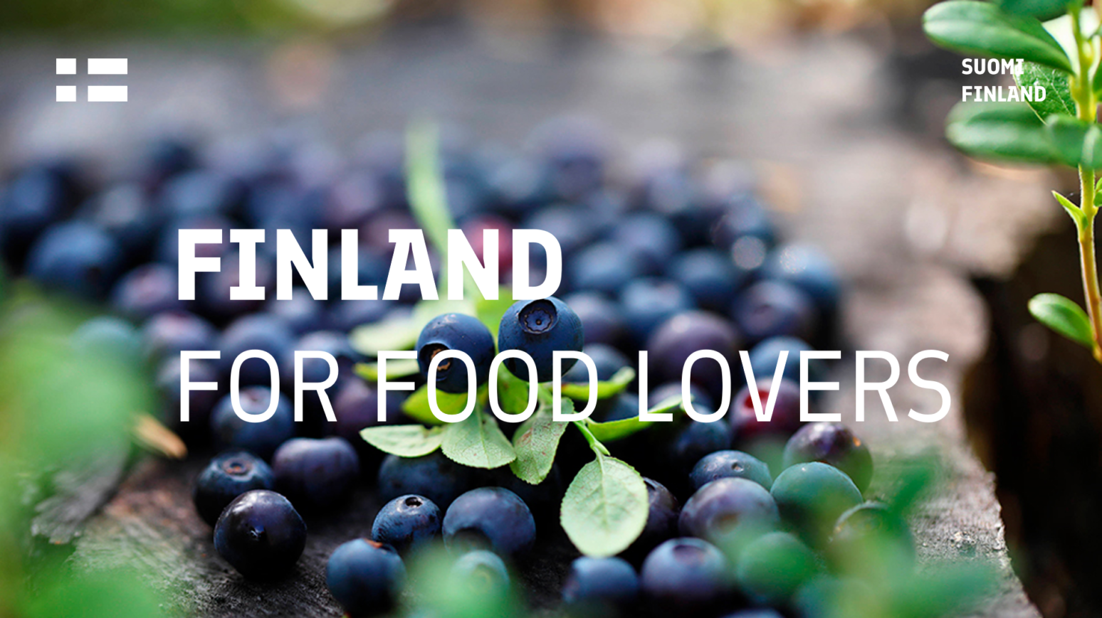 Climate matters – Finland takes climate action - Finland Toolbox