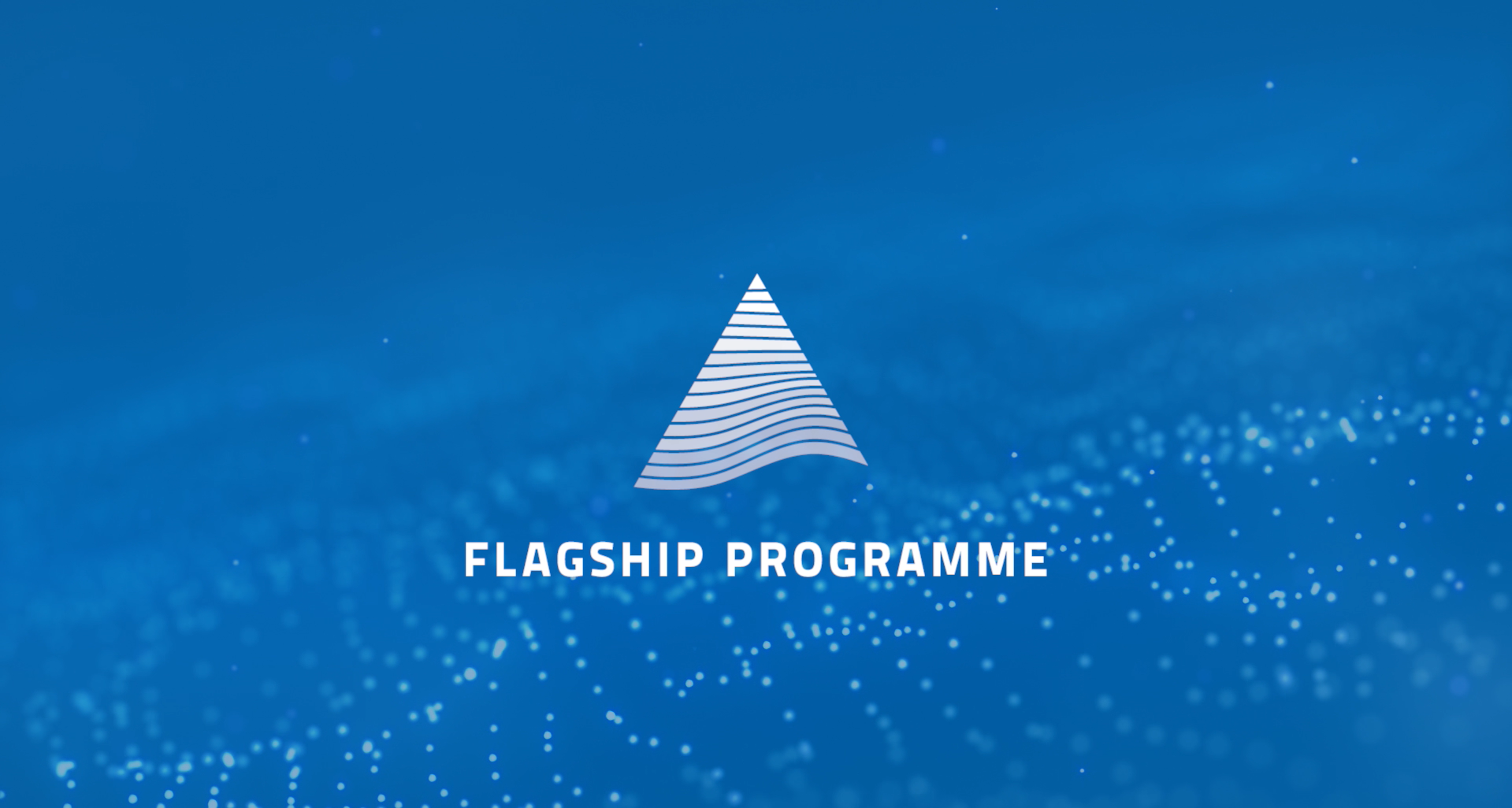 The Finnish Flagships – Breaking the ice for a better future - Finland ...