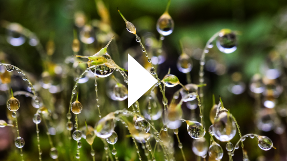 Cleantech from Finland - Finland Toolbox