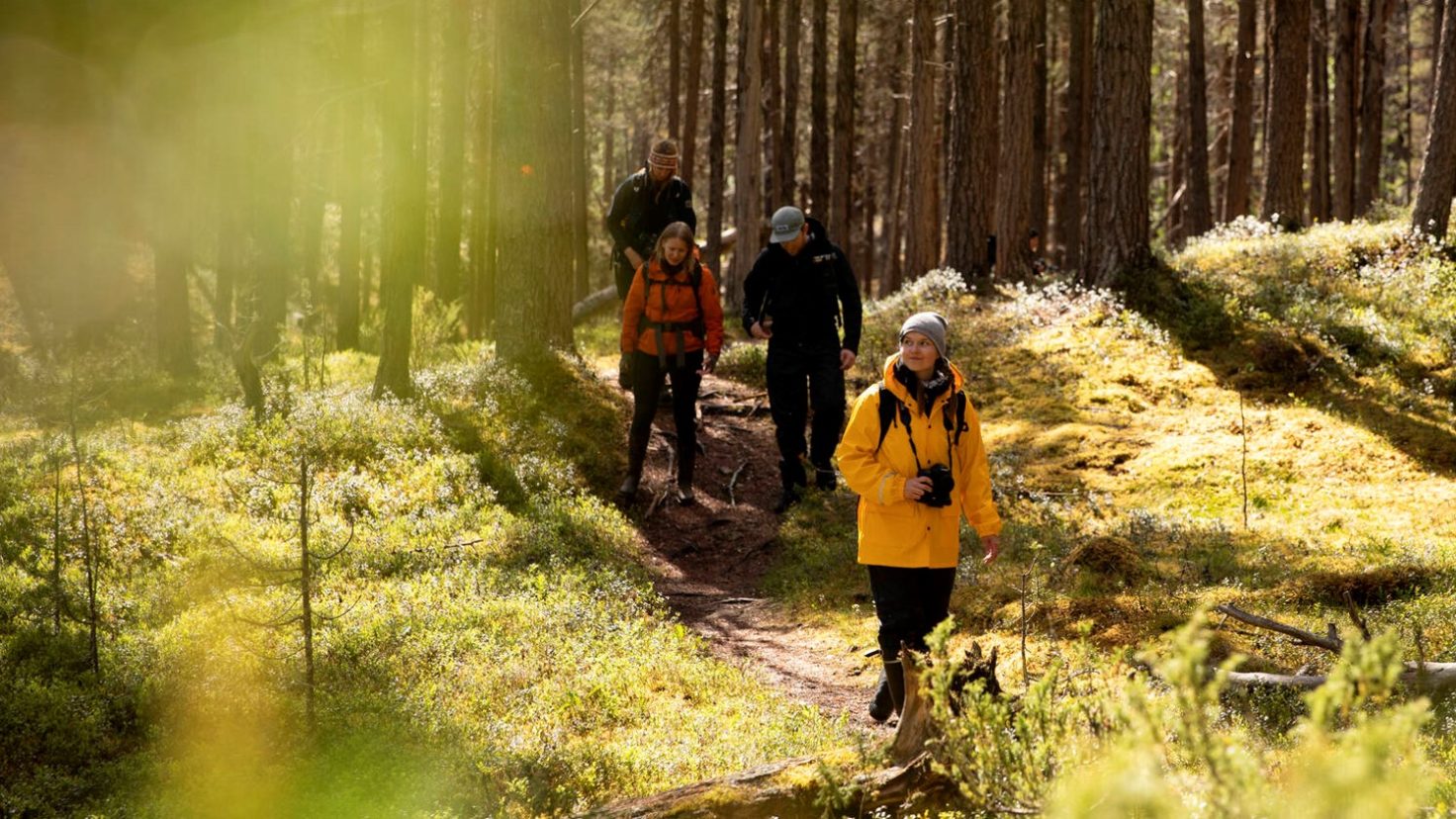 Climate matters – Finland takes climate action - Finland Toolbox