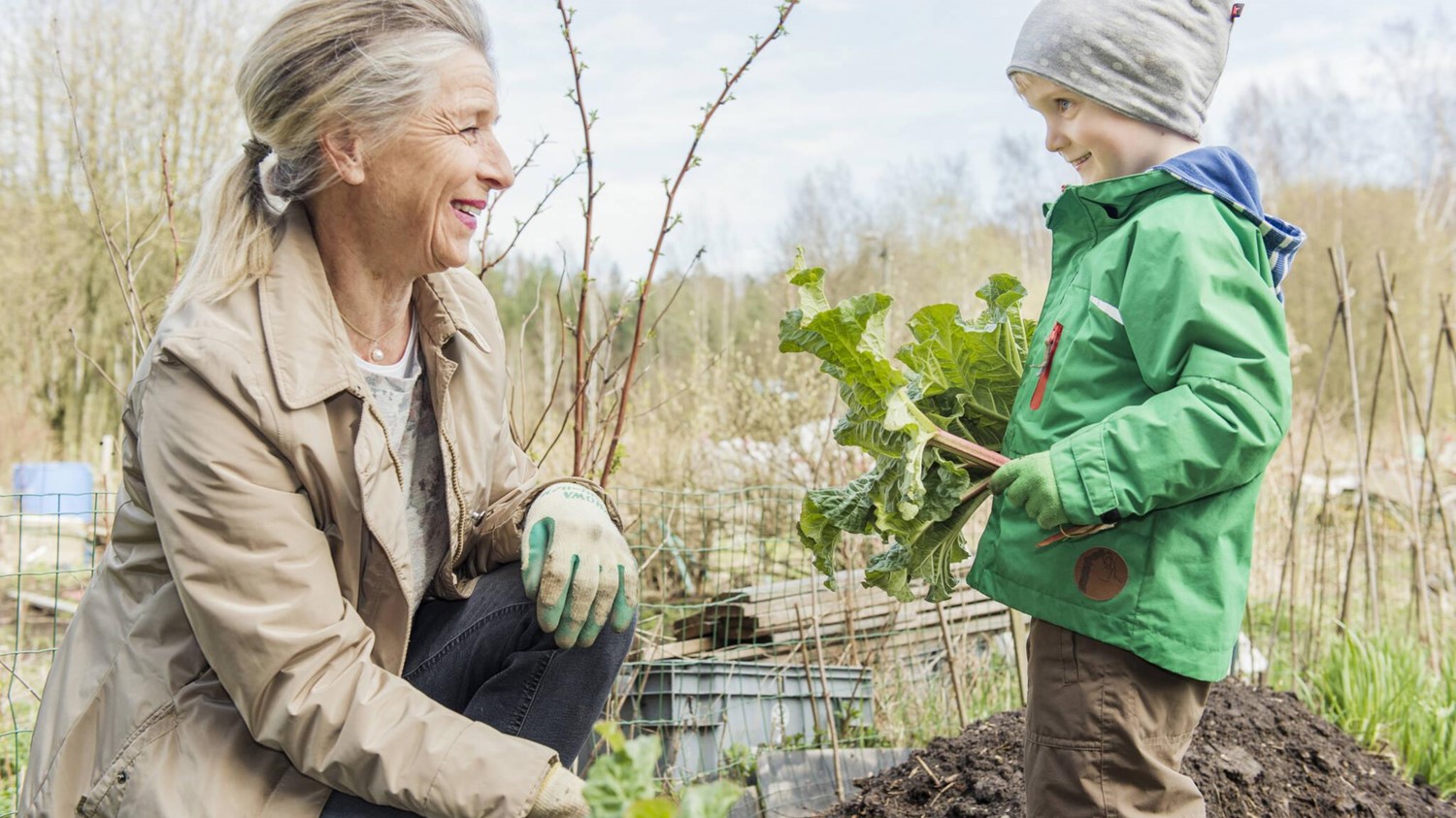 Climate matters – Finland takes climate action - Finland Toolbox